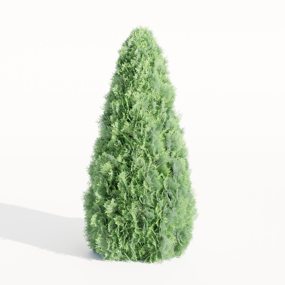 3D Thuja Smaragd Collection Vol 138-Blender - TurboSquid 2146322