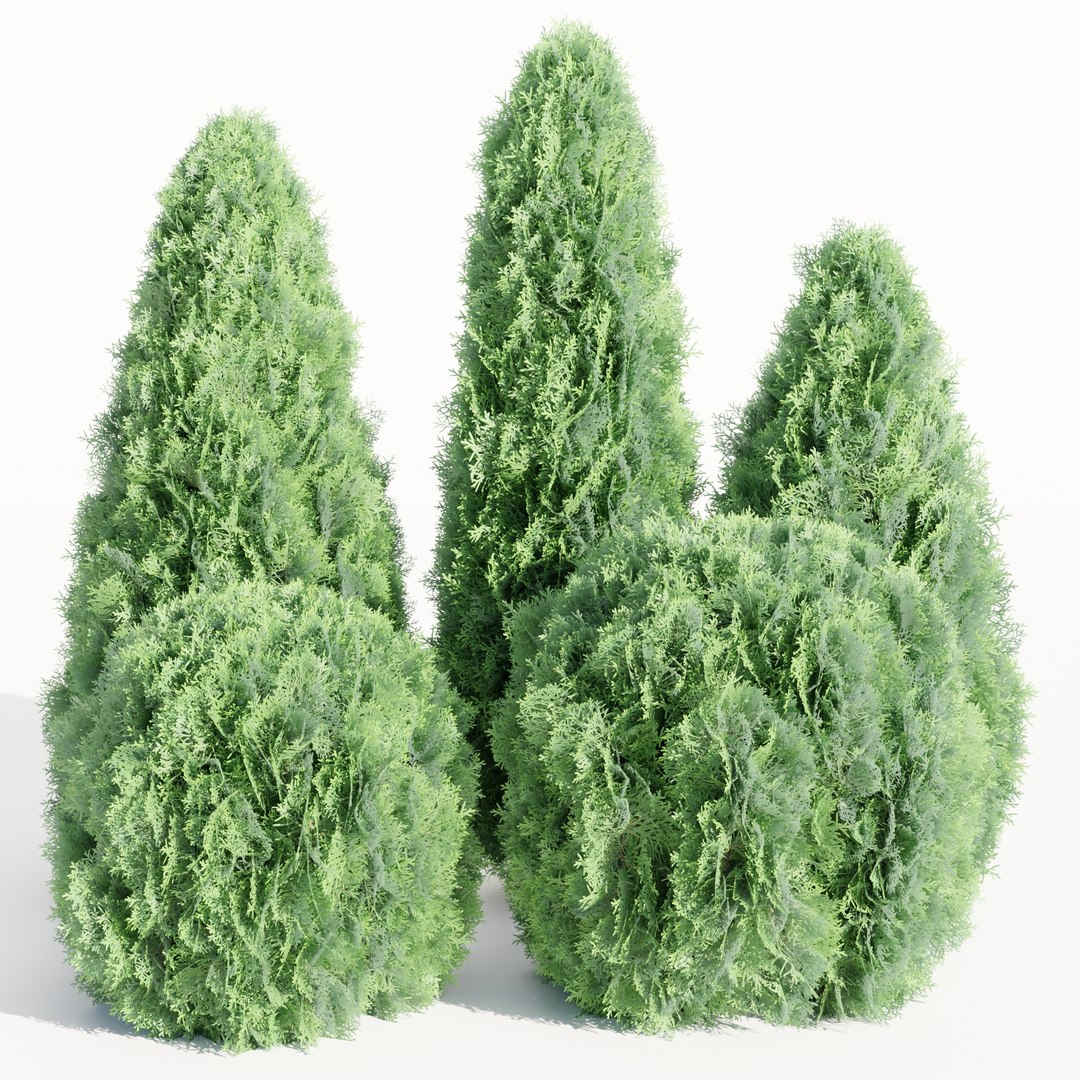 3D Thuja Smaragd Collection Vol 138-Blender - TurboSquid 2146322