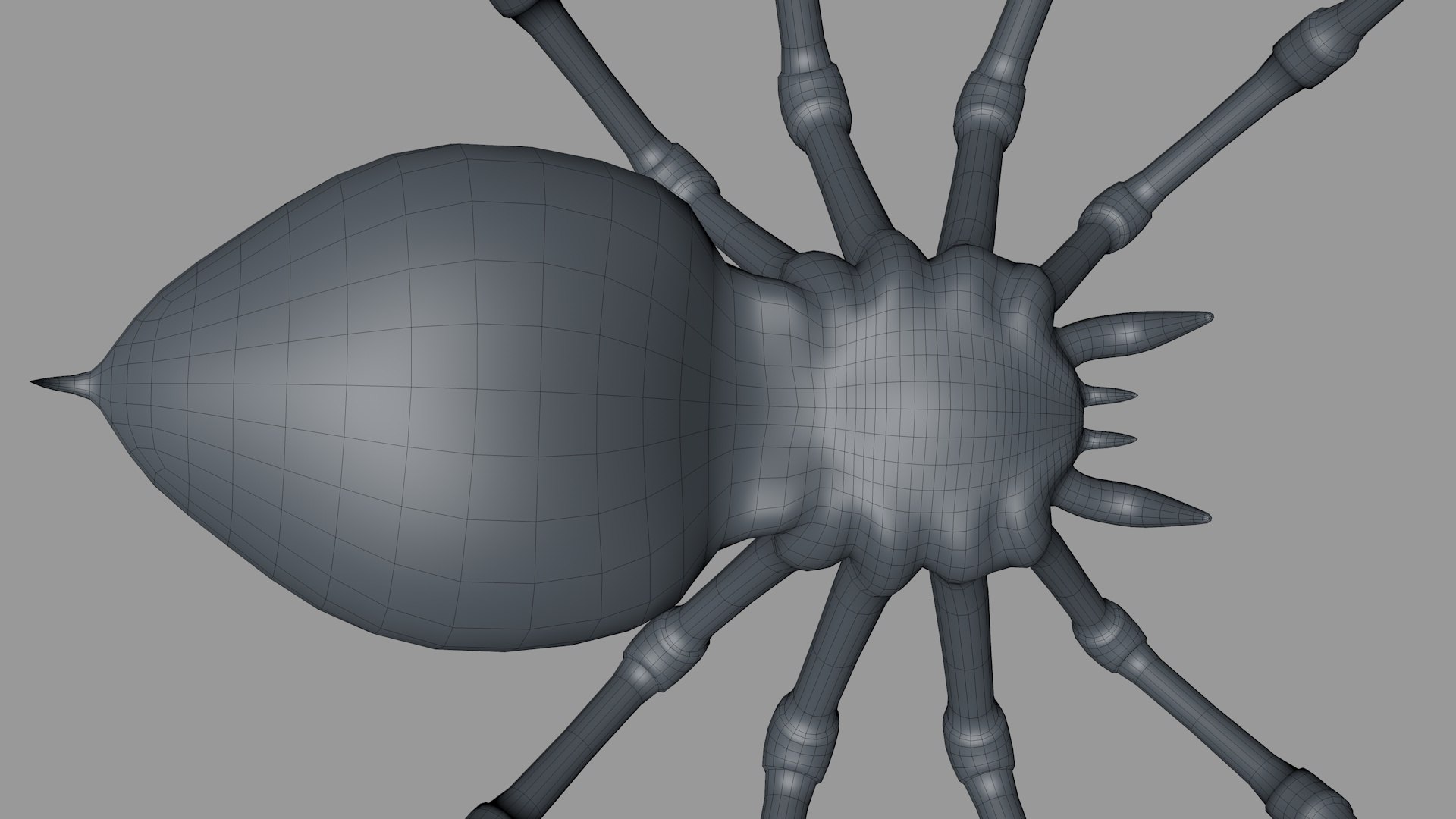 Spider rigged 3D model - TurboSquid 1588388