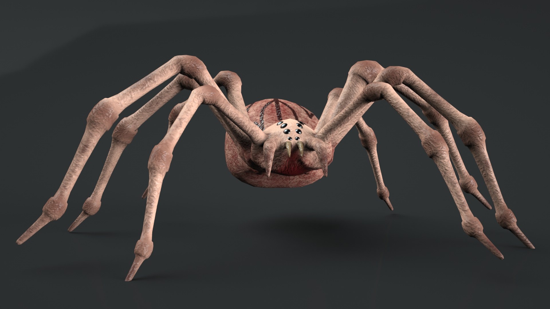 Spider rigged 3D model - TurboSquid 1588388