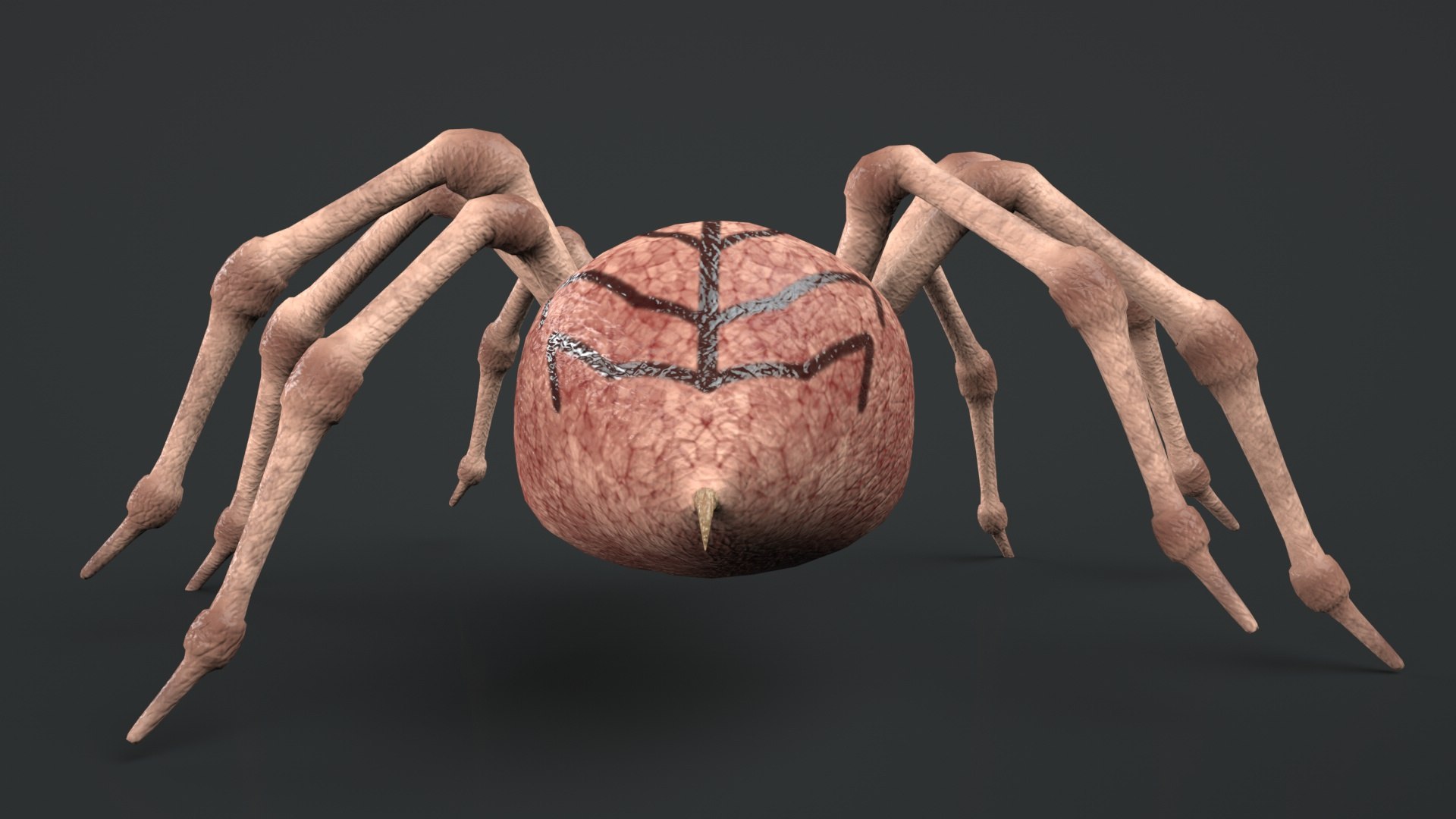 Spider rigged 3D model - TurboSquid 1588388
