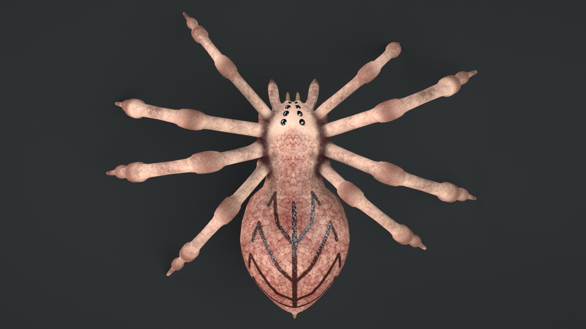 Spider rigged 3D model - TurboSquid 1588388
