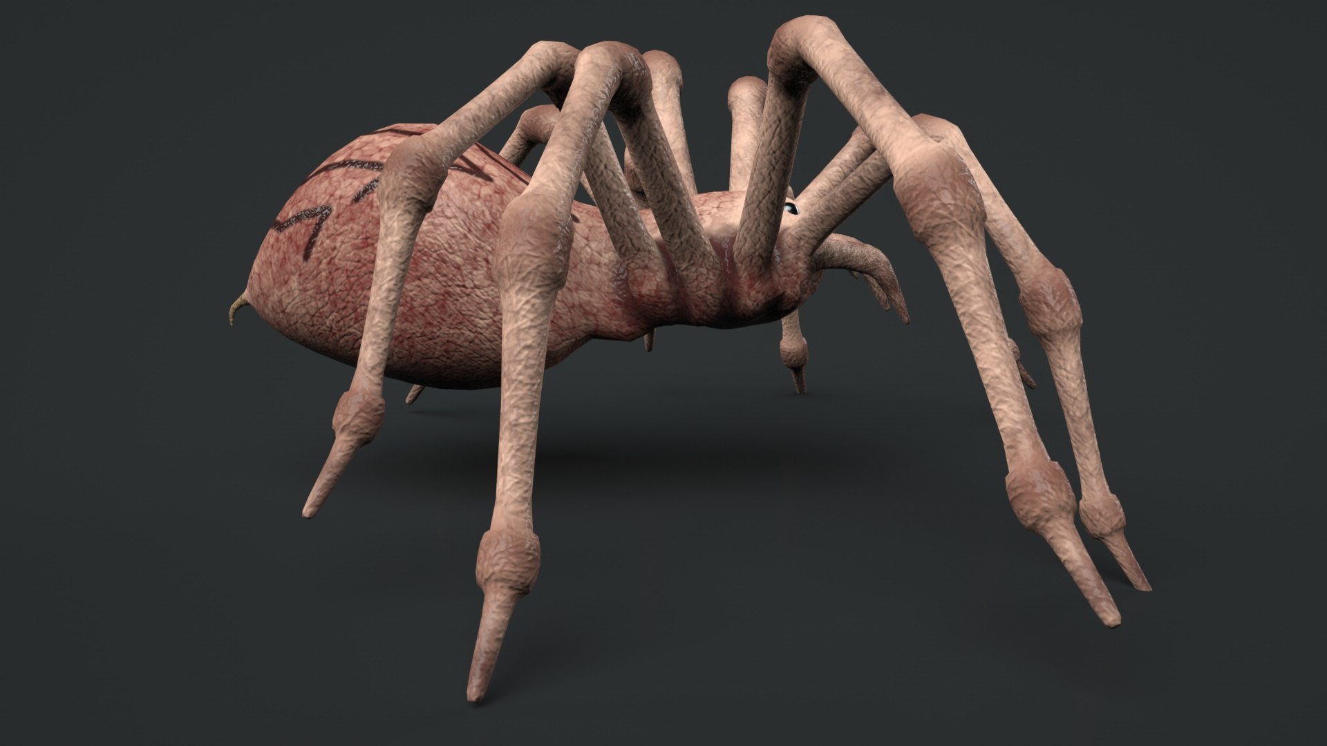 Spider rigged 3D model - TurboSquid 1588388