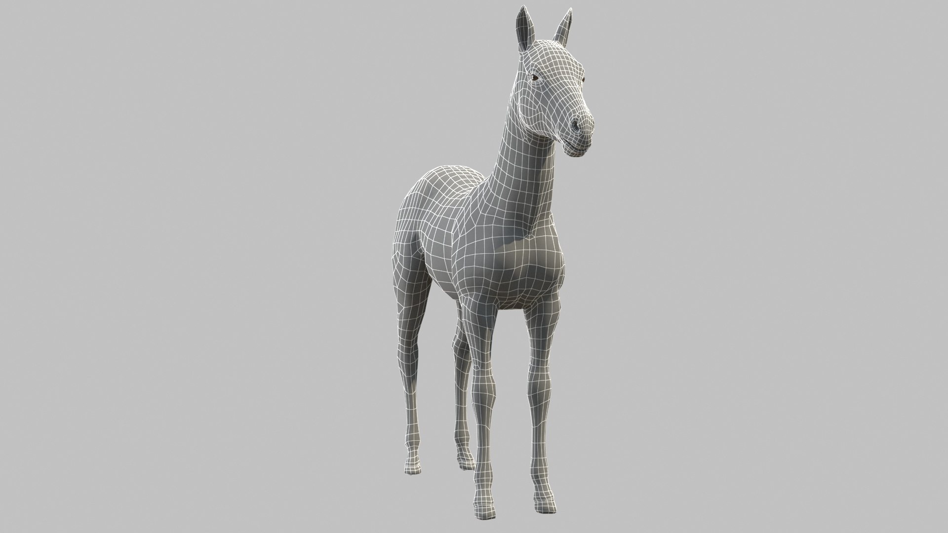 Horse Foal Model - TurboSquid 1688968