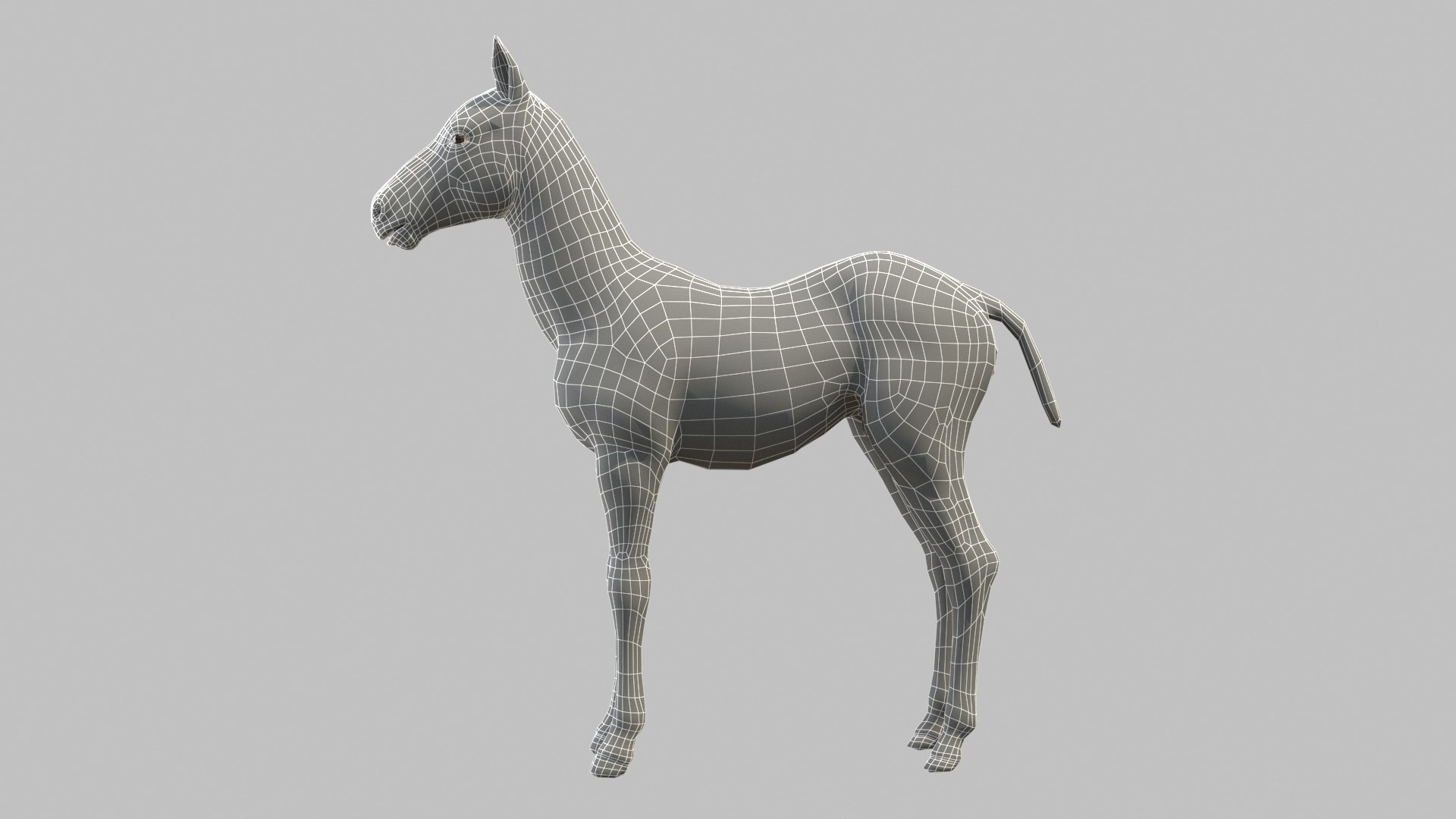 Horse Foal Model - TurboSquid 1688968