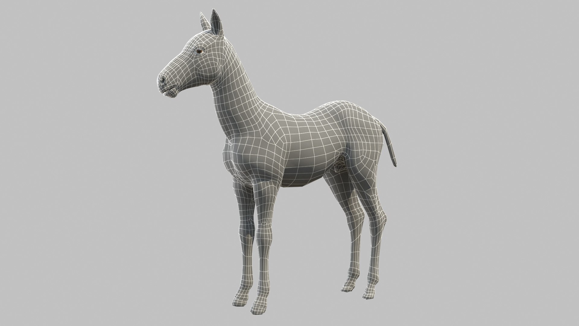 Horse Foal Model - TurboSquid 1688968