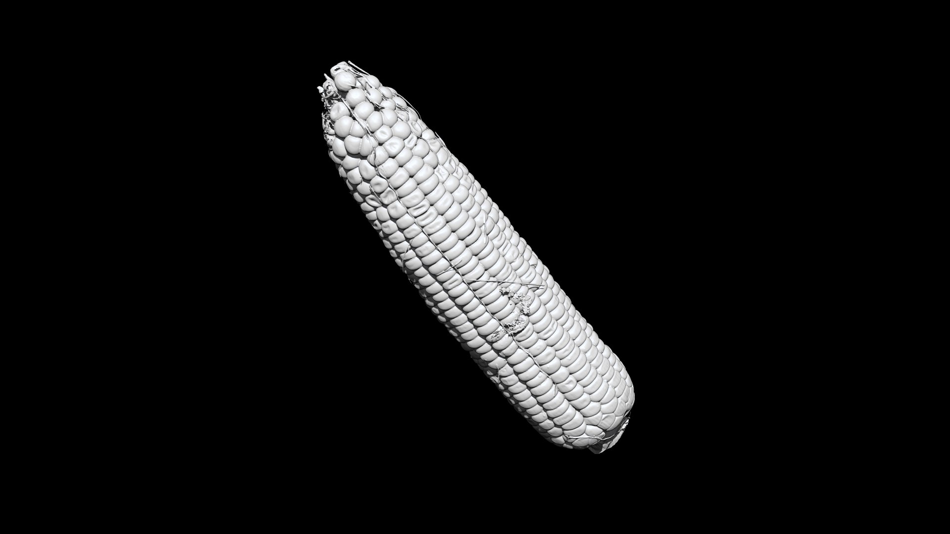 3D Model Corn 3D CT Scan Model - TurboSquid 1945180