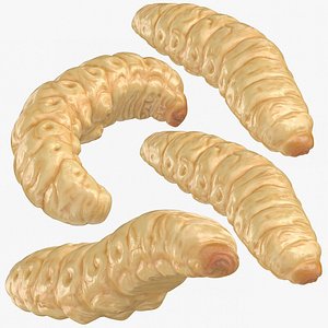 3D Maggot - TurboSquid 1361607