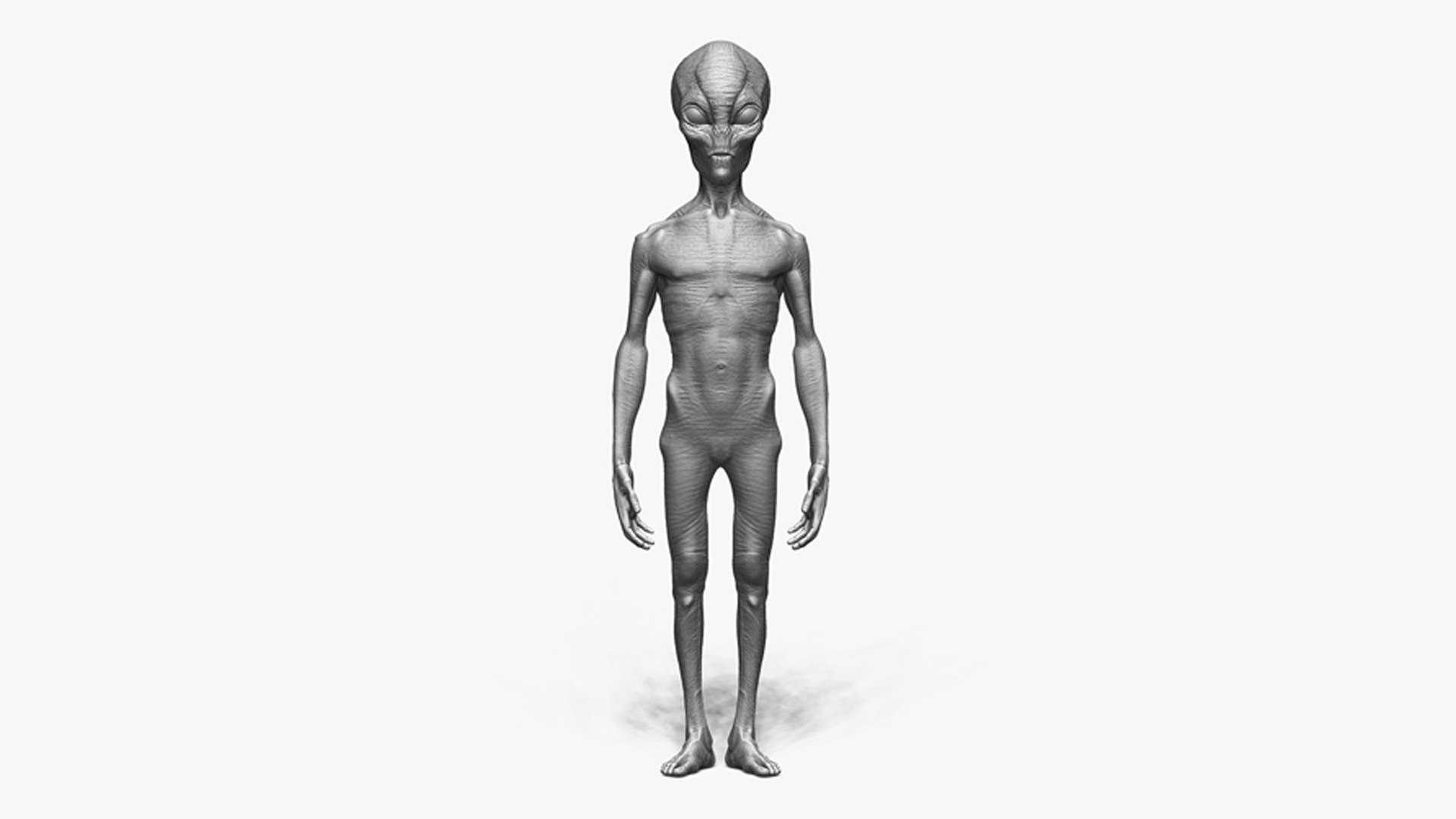 modelo 3d Grey Alien - TurboSquid 1934206