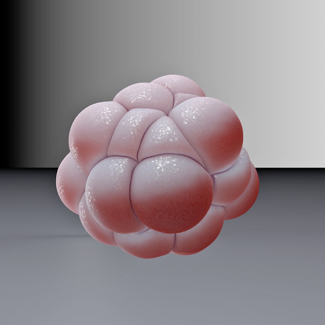 Smaller Cluster Cells 3D - TurboSquid 1400931