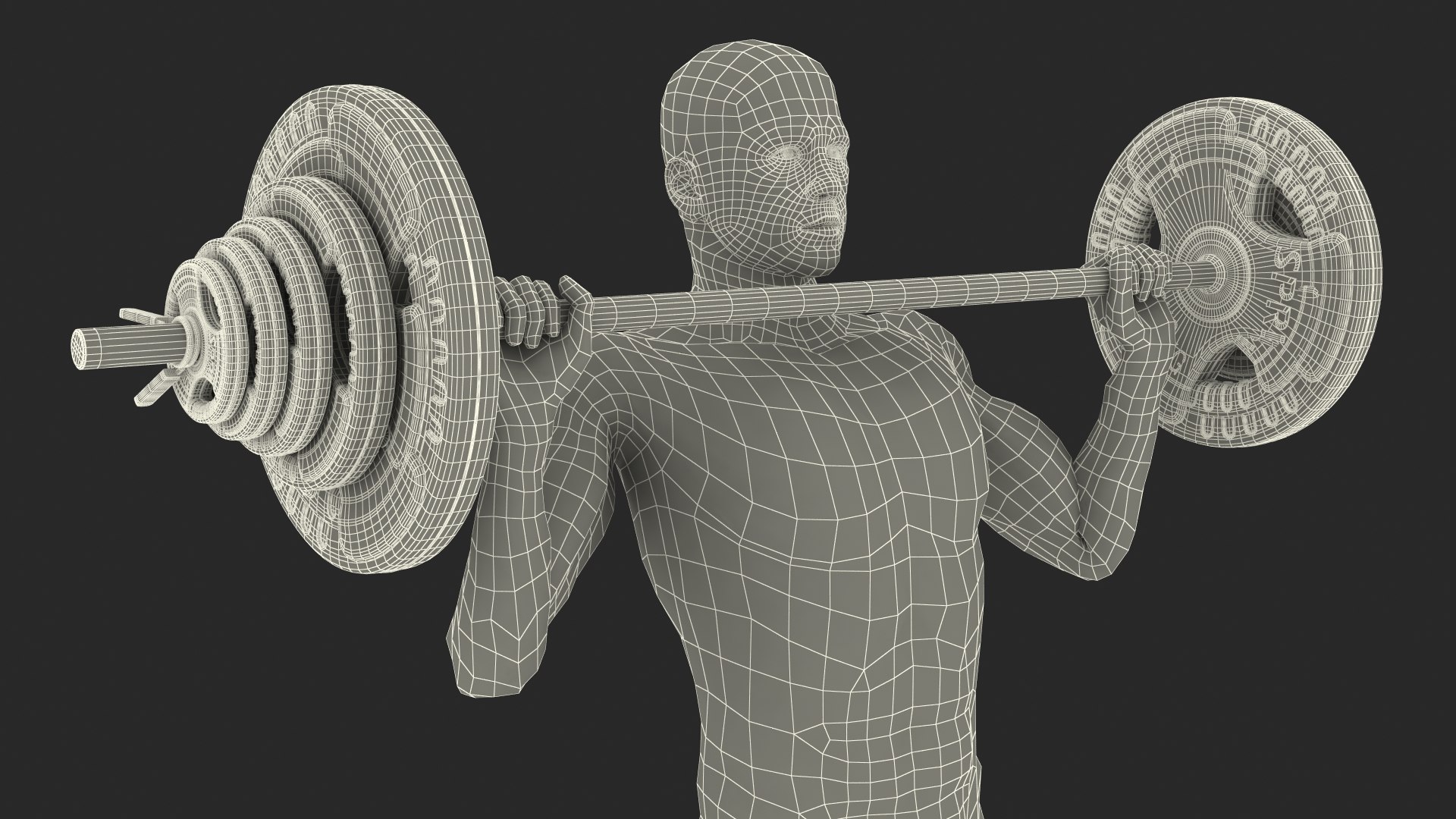 Anatomy Male Muscular System Shoulder Press Animated Rigged Model ...