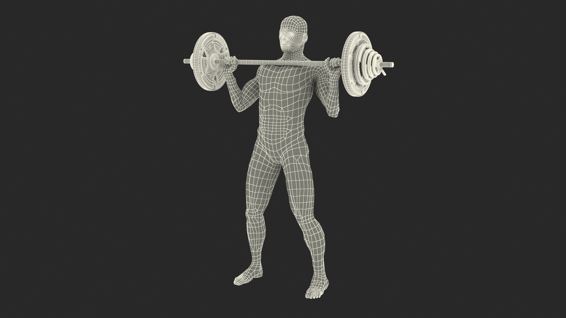 Anatomy Male Muscular System Shoulder Press Animated Rigged Model ...
