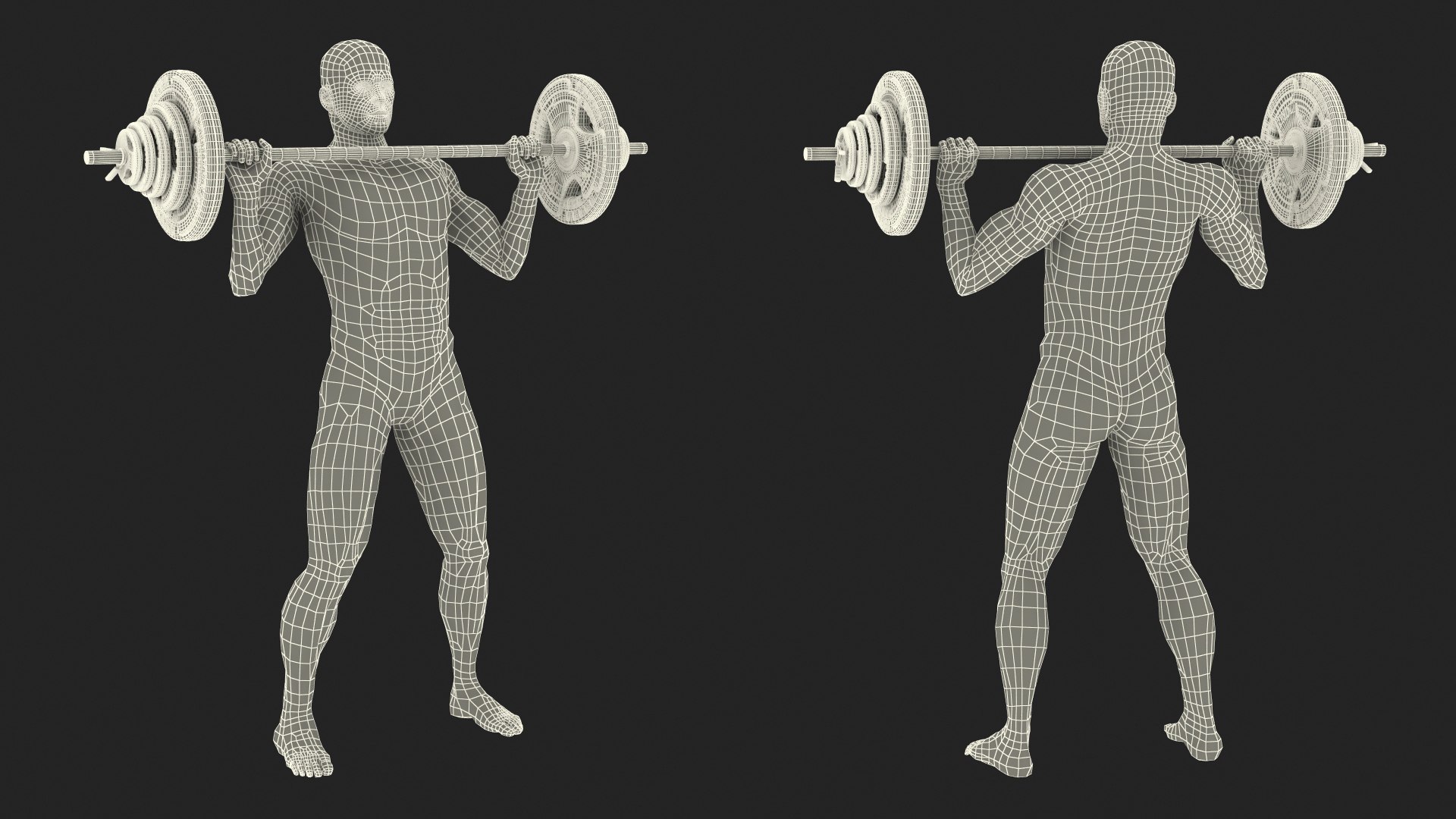 Anatomy Male Muscular System Shoulder Press Animated Rigged Model ...