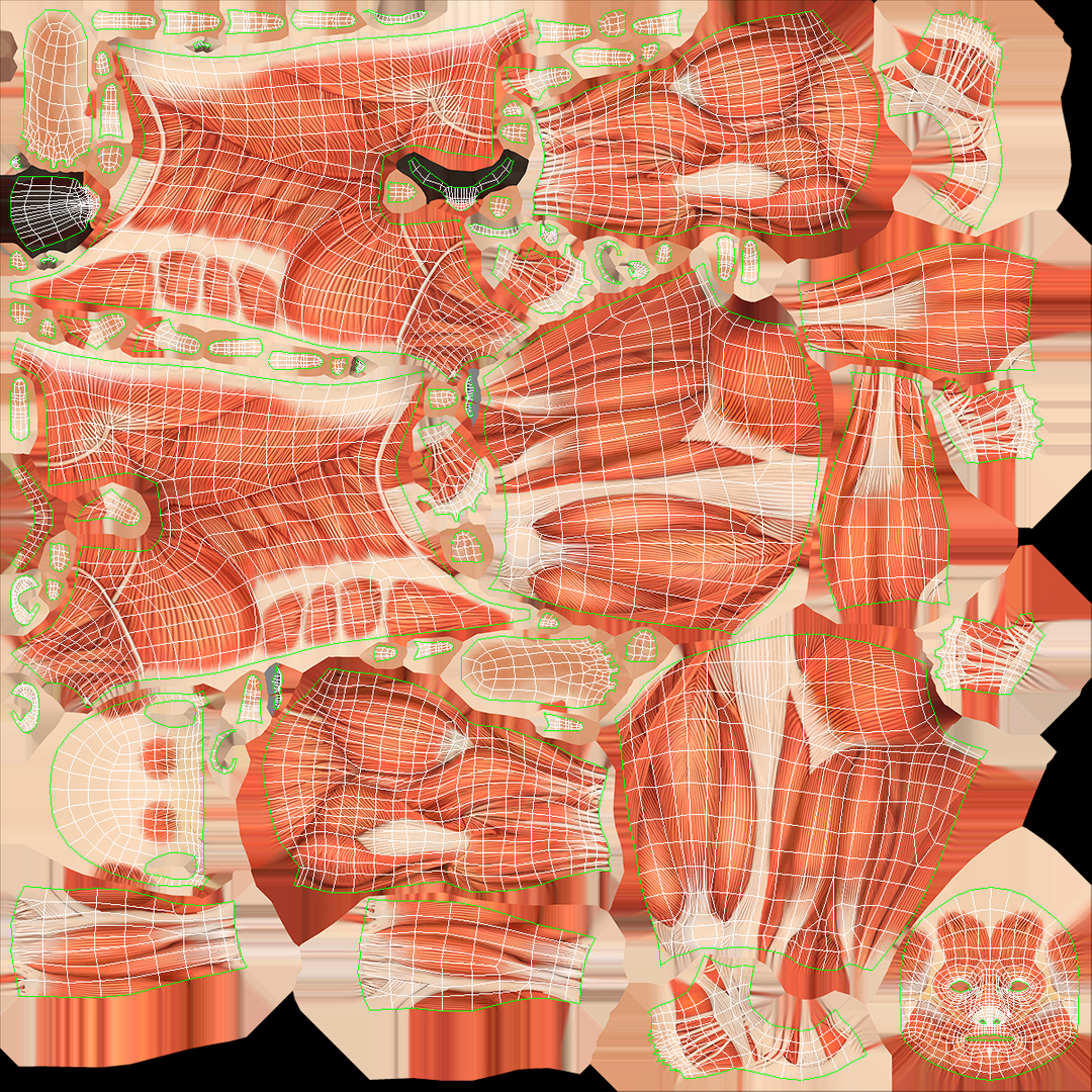 modelo 3d Anatomía del sistema muscular masculino Press de hombros ...