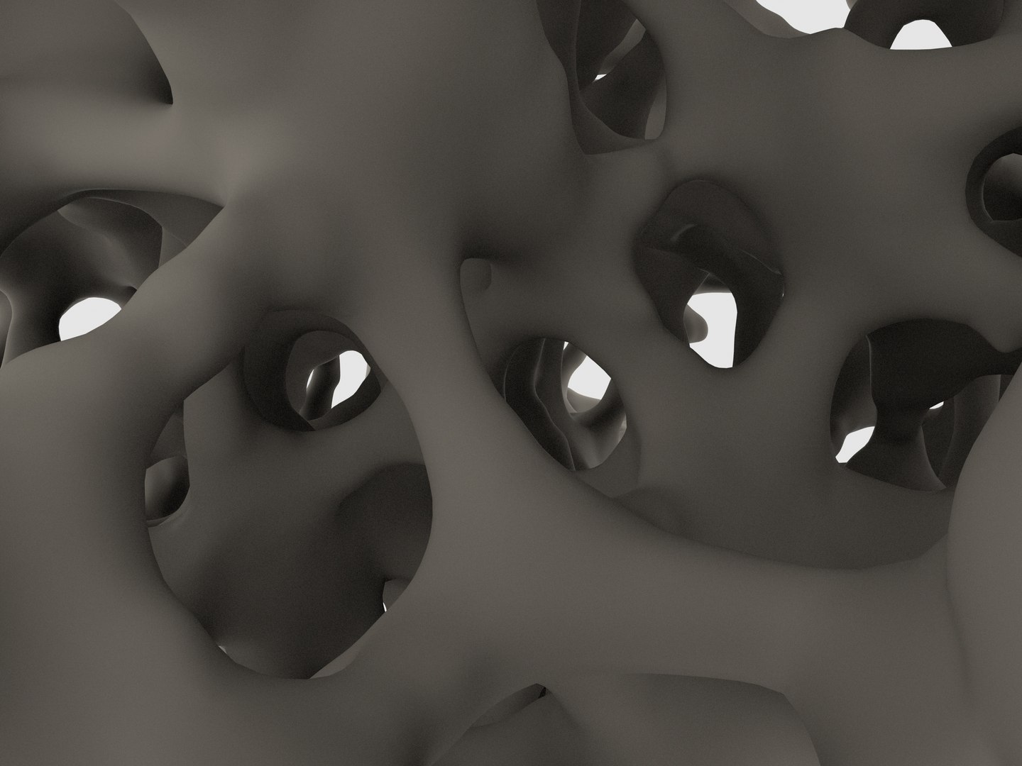 3D Model Bone Structure - TurboSquid 2021518