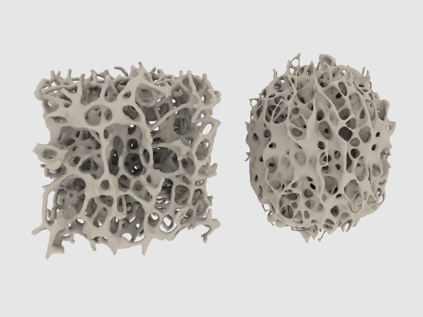 3D Model Bone Structure - TurboSquid 2021518