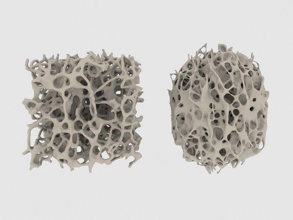 3D model bone structure - TurboSquid 2021518