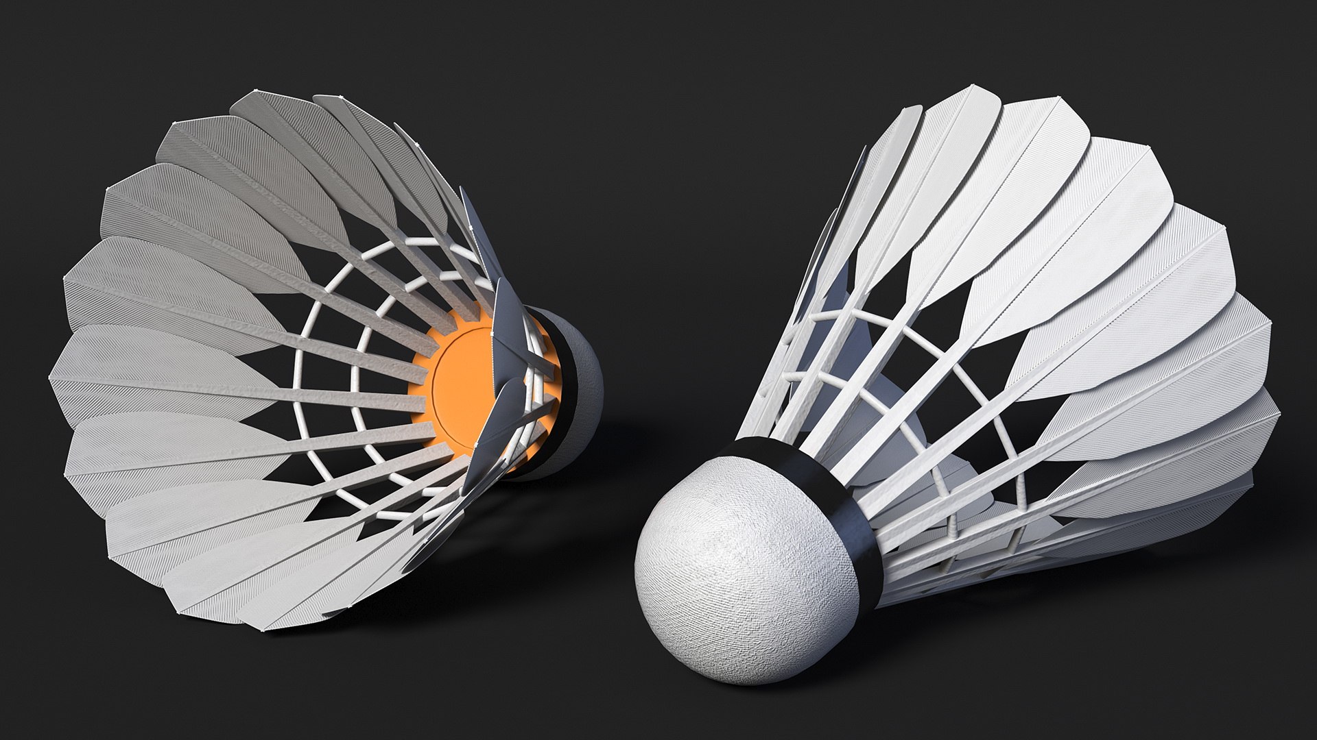 Badminton Feather Shuttlecock 3D Model - TurboSquid 2148610