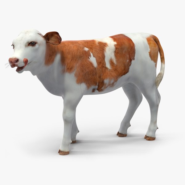 modelo 3d Vaca y ternero preparadas para Cinema 4D - TurboSquid 2280288