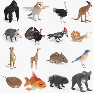 Download 3D Mouse Blender Models - TurboSquid