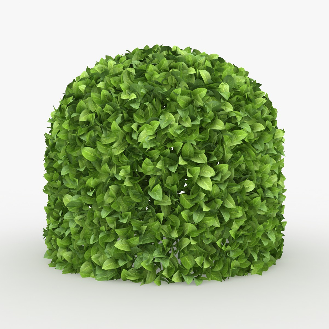 Realistic Hedge Set 3d Model