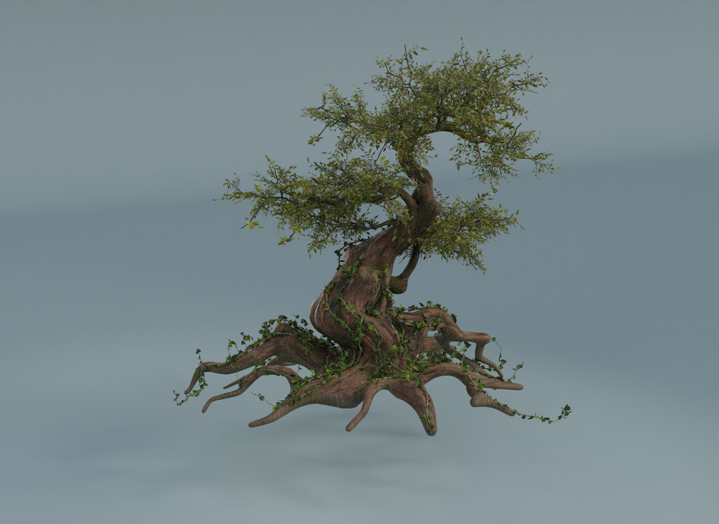 3D Chinese Banyan Ancestral Old Tree Model - TurboSquid 1907203