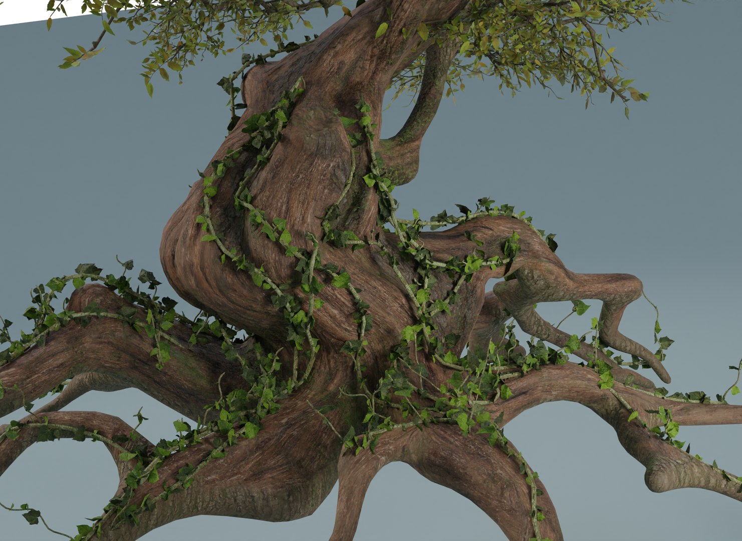 3D Chinese Banyan Ancestral Old Tree Model - TurboSquid 1907203