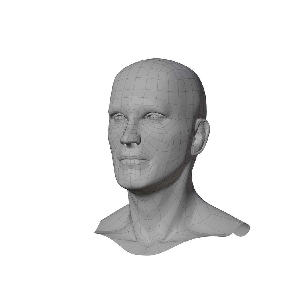 Male Mannequin Head 3D Model - TurboSquid 2050982