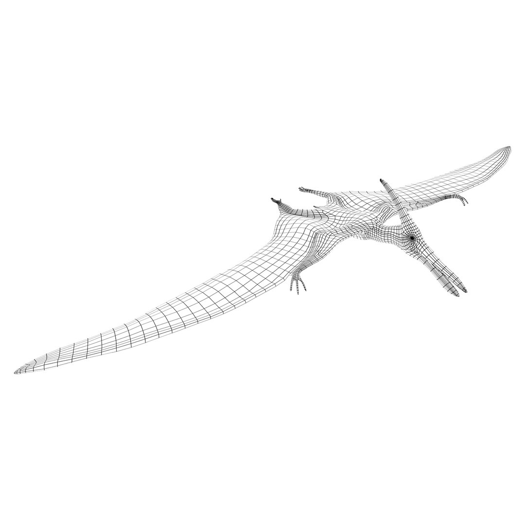 Pterosaurs 3D model - TurboSquid 1247758