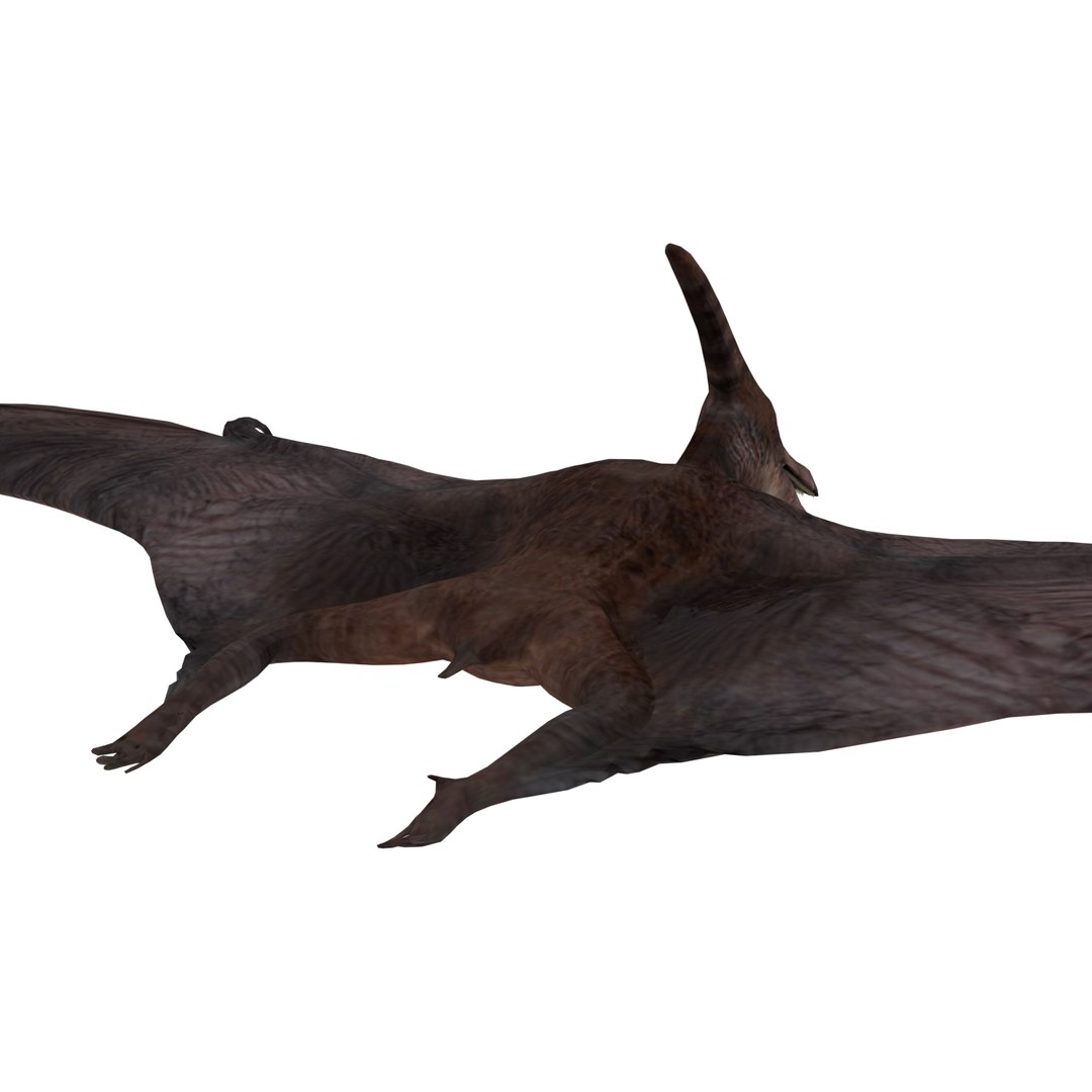 Pterosaurs 3D model - TurboSquid 1247758