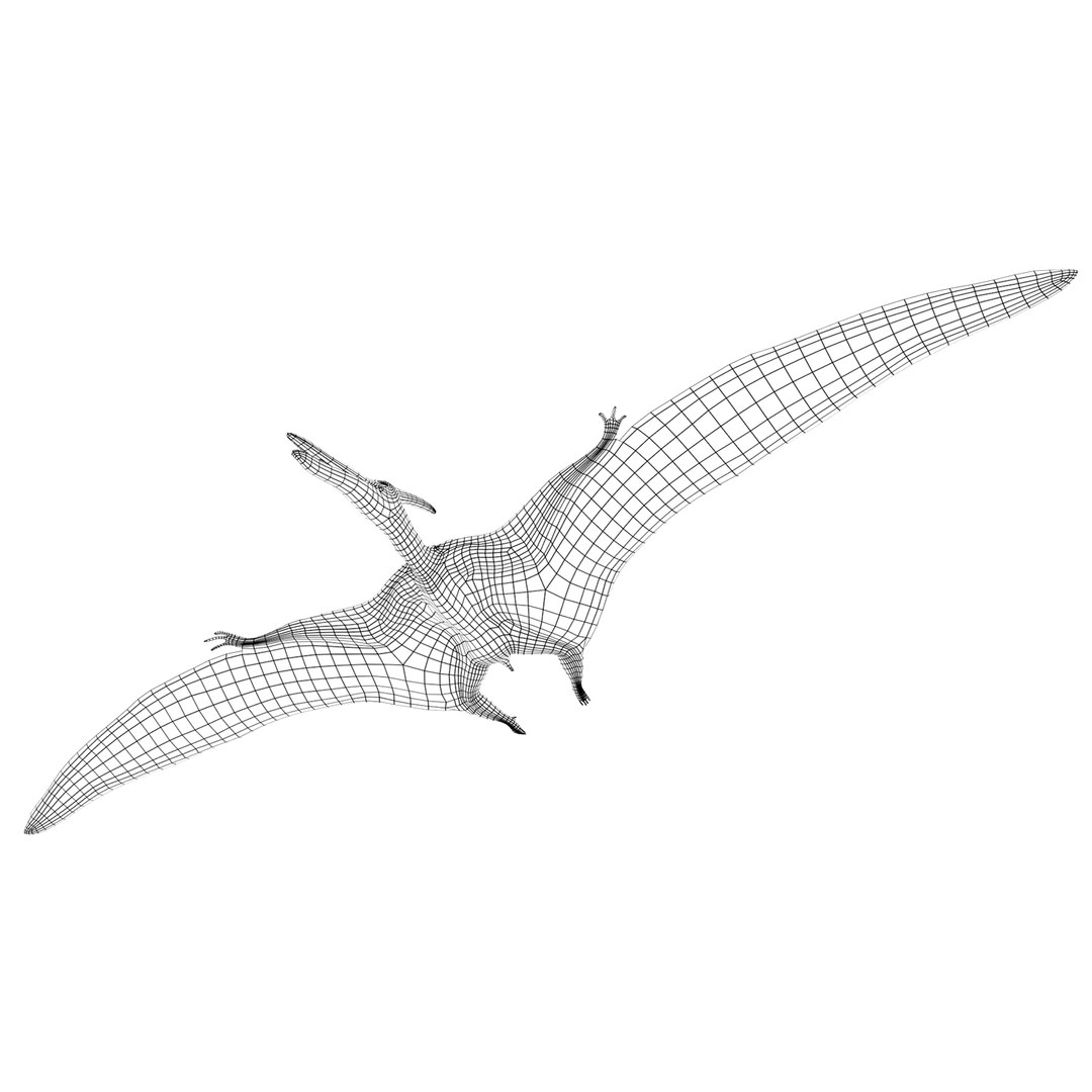 Pterosaurs 3D model - TurboSquid 1247758