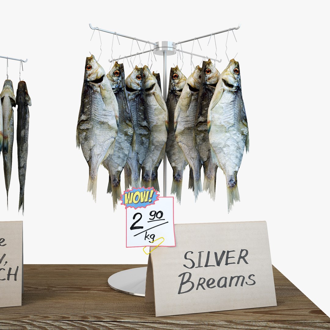 3d Dried Fish Model