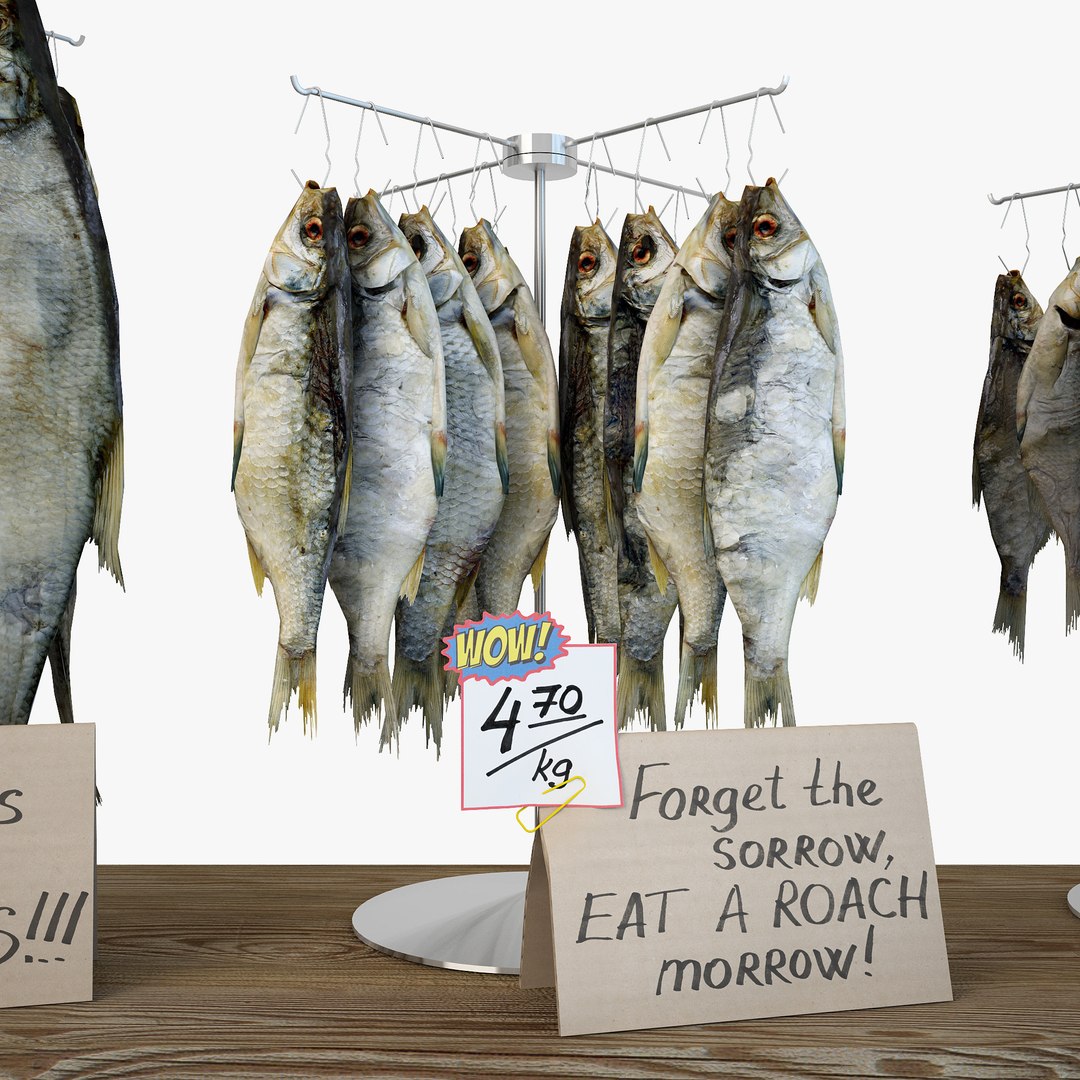 3d Dried Fish Model