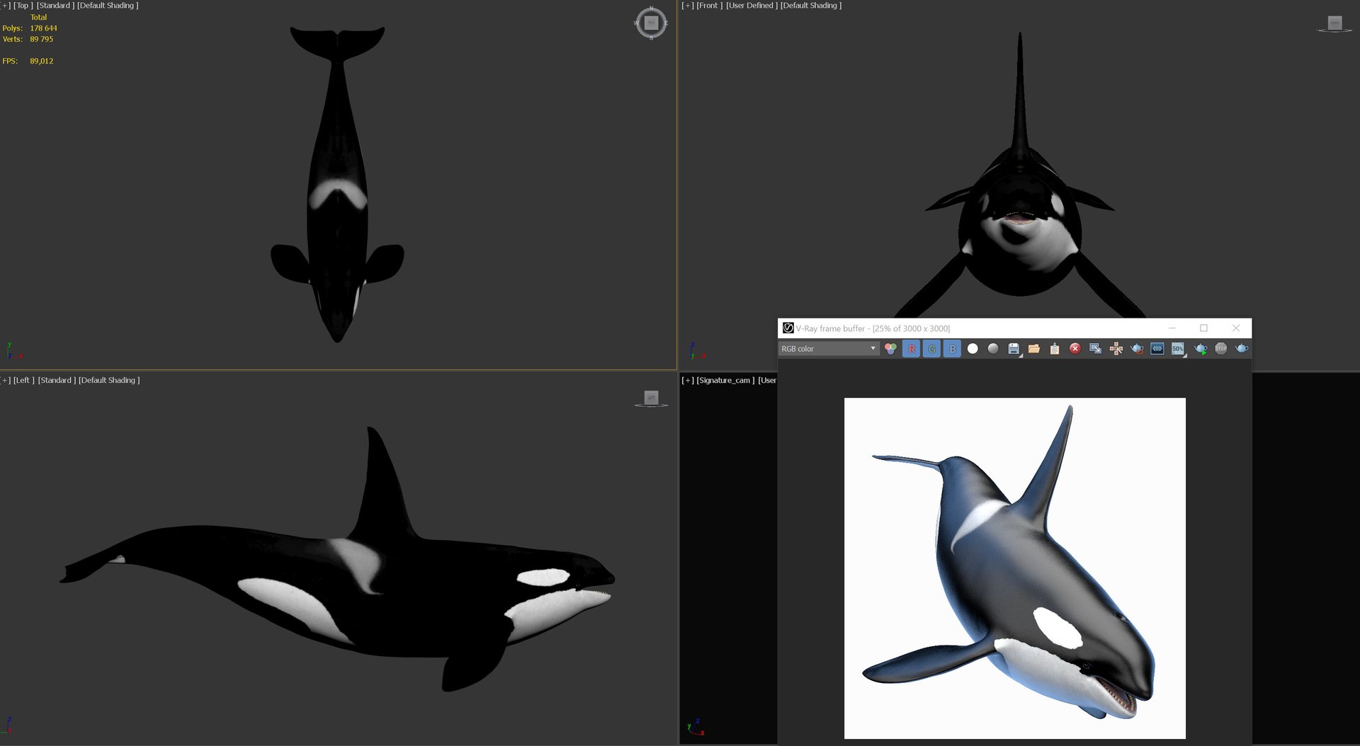 Orca Model - TurboSquid 1953509