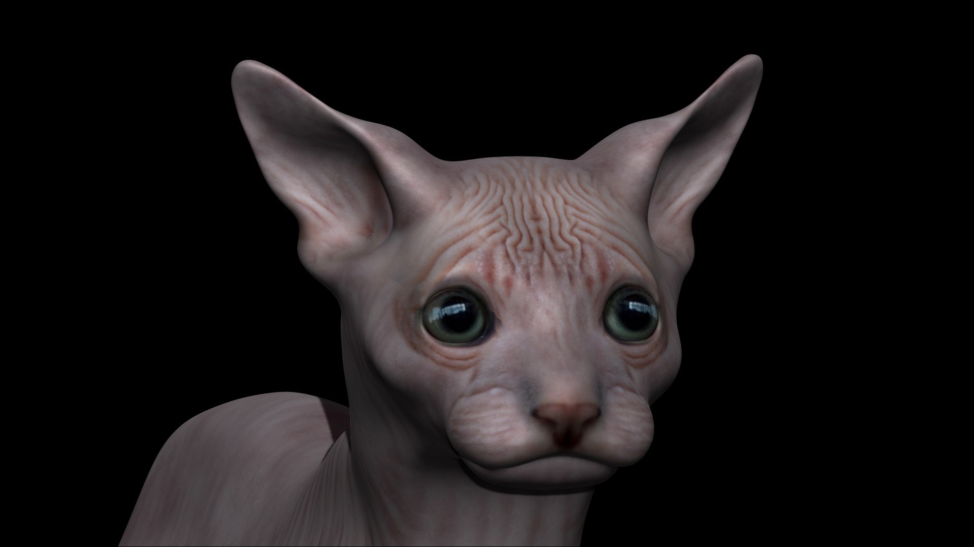 3D fully rigged sphynx cat - TurboSquid 1699454