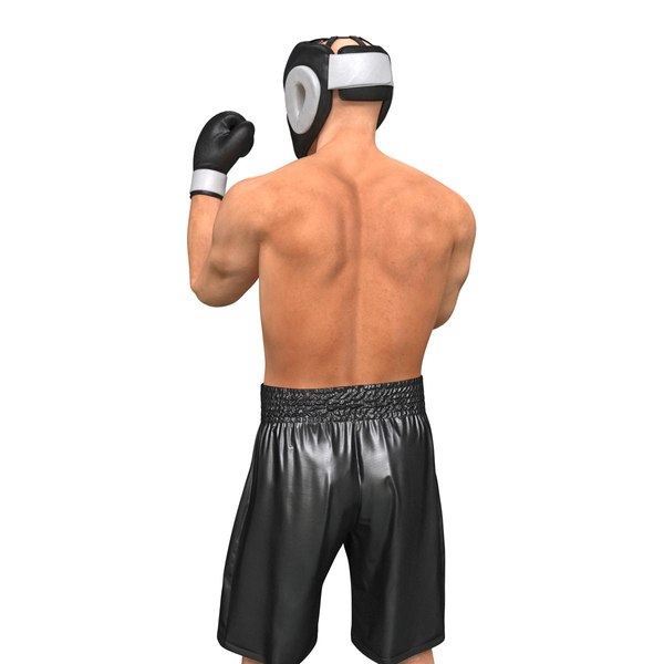 3d adult boxer man pose