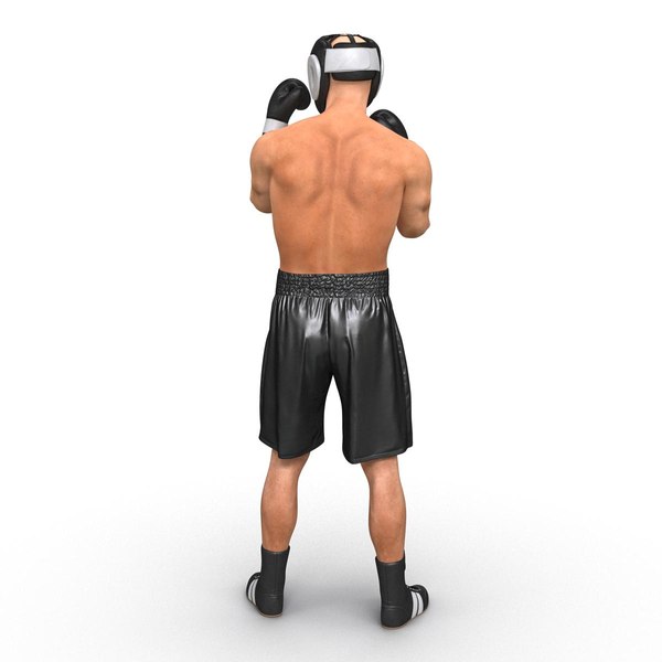 3d adult boxer man pose