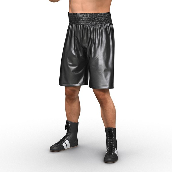 3d adult boxer man pose