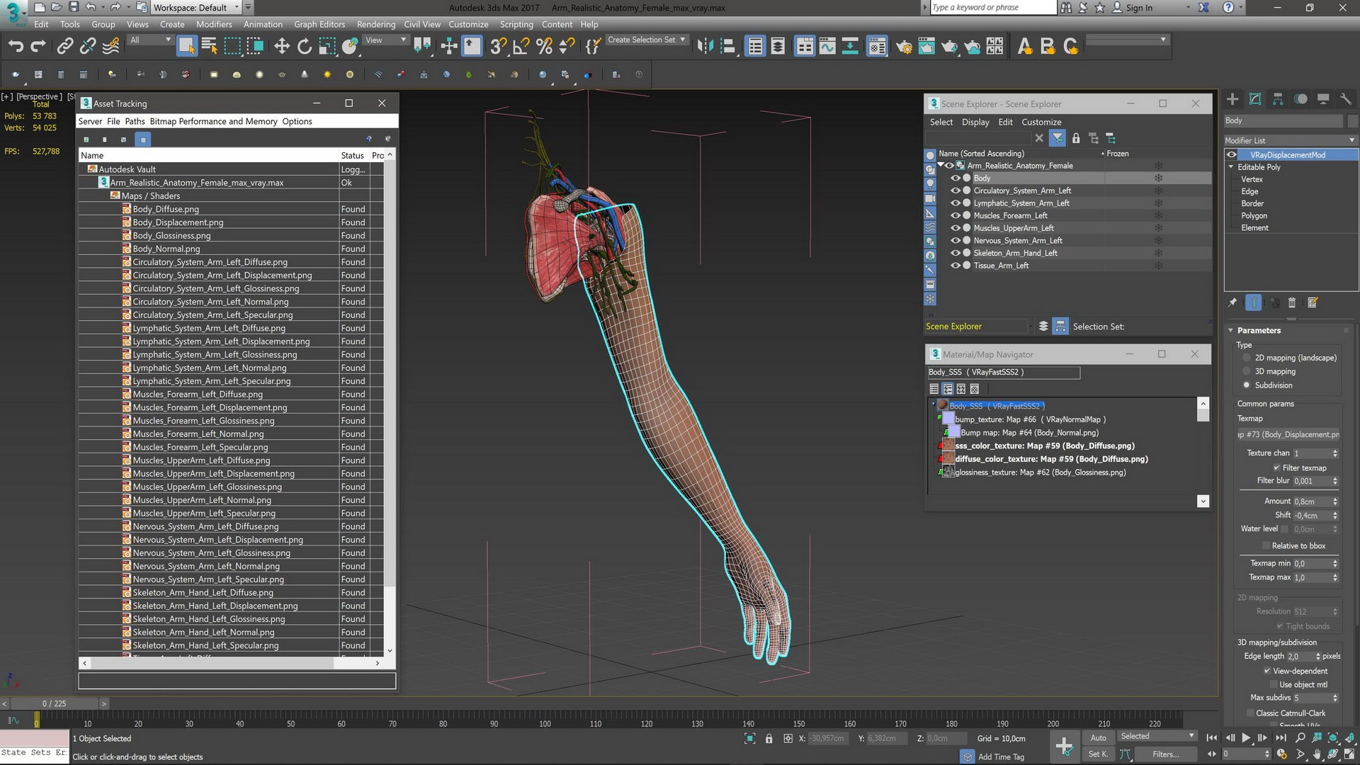 Arm Realistic Anatomy Female 3D model - TurboSquid 2133341