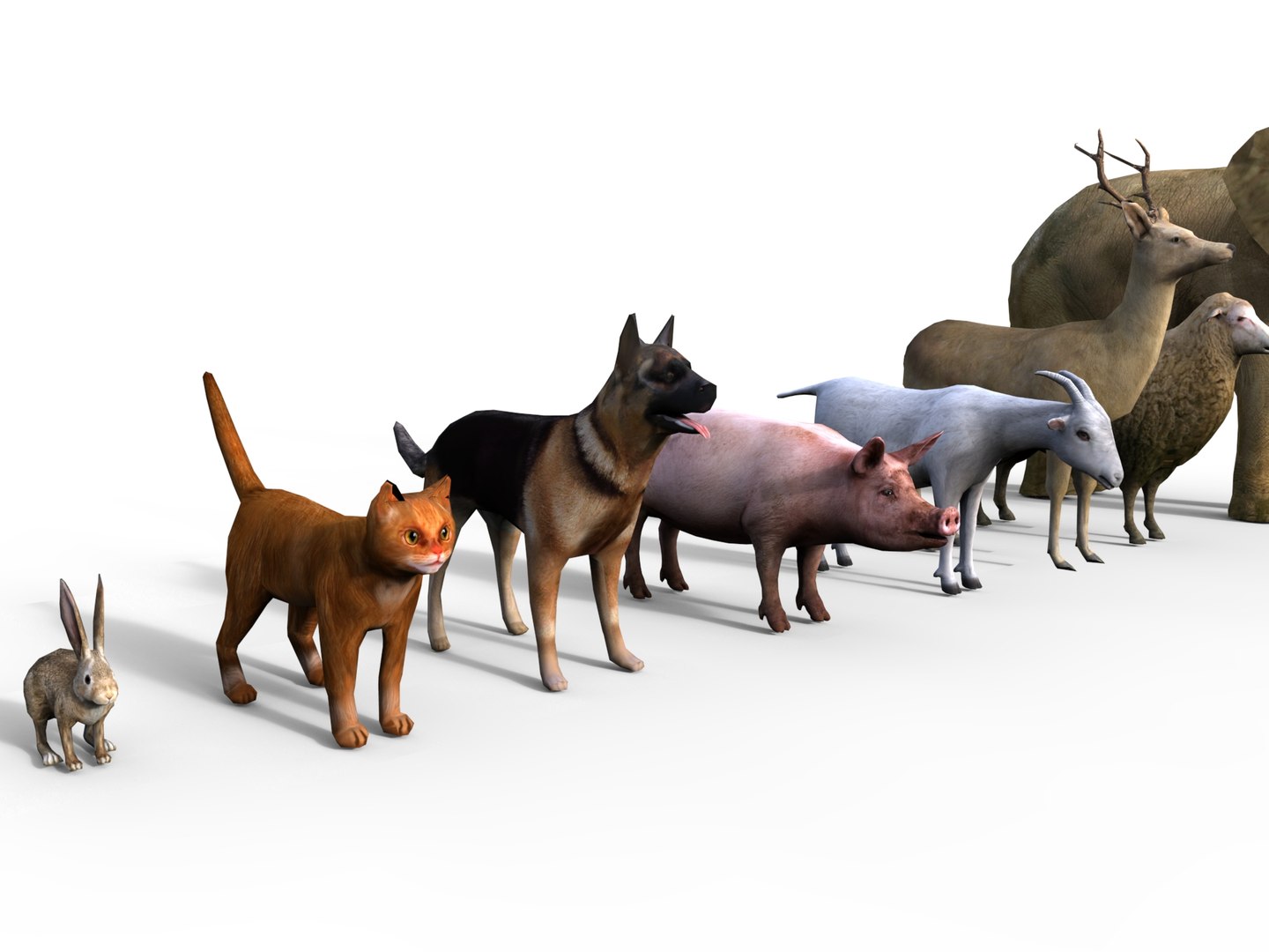 8 Animal 3d Model