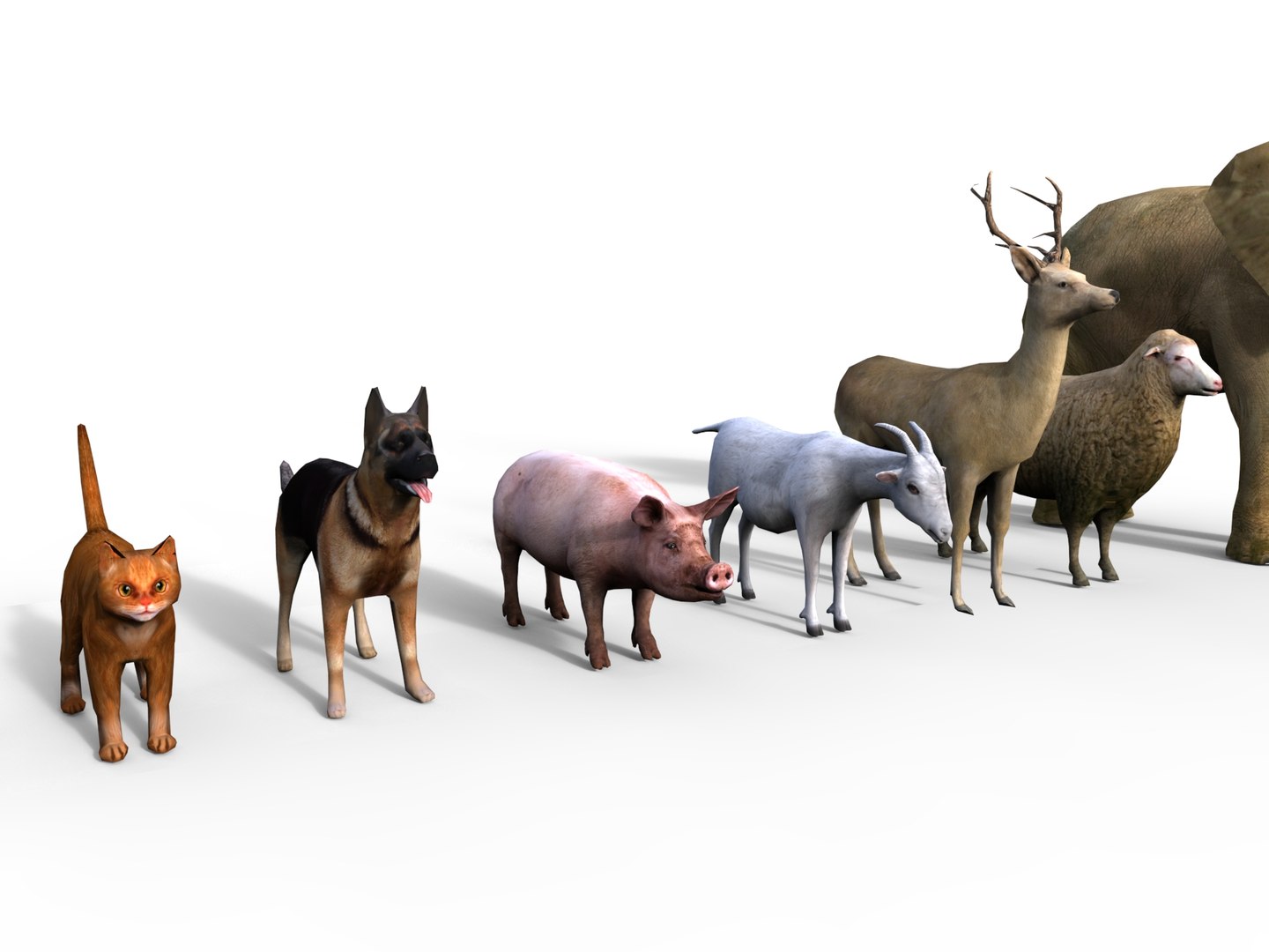 8 Animal 3d Model