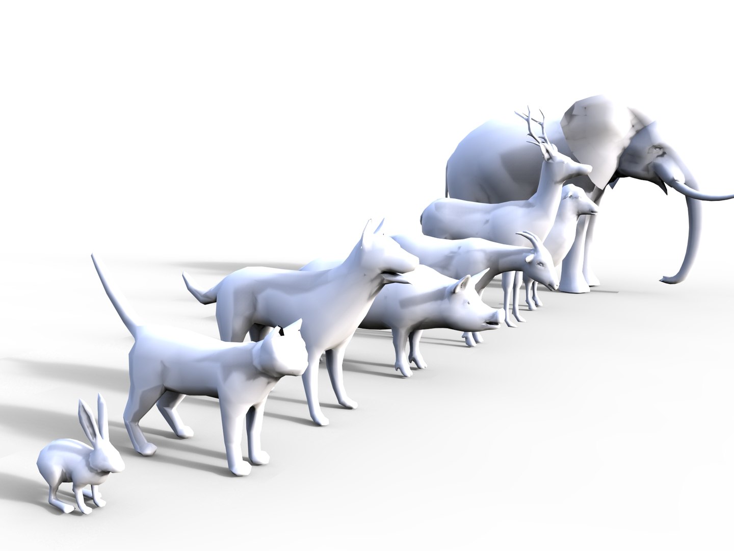 8 Animal 3d Model