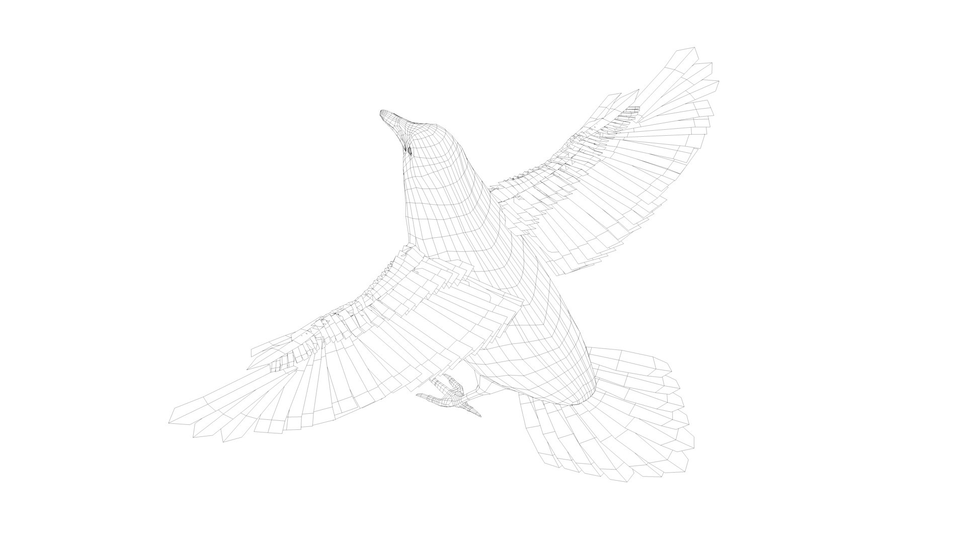 3D Model Raven Bird - TurboSquid 1536948