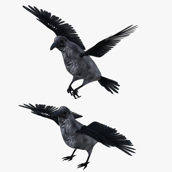 Raven STL Models for Download | TurboSquid