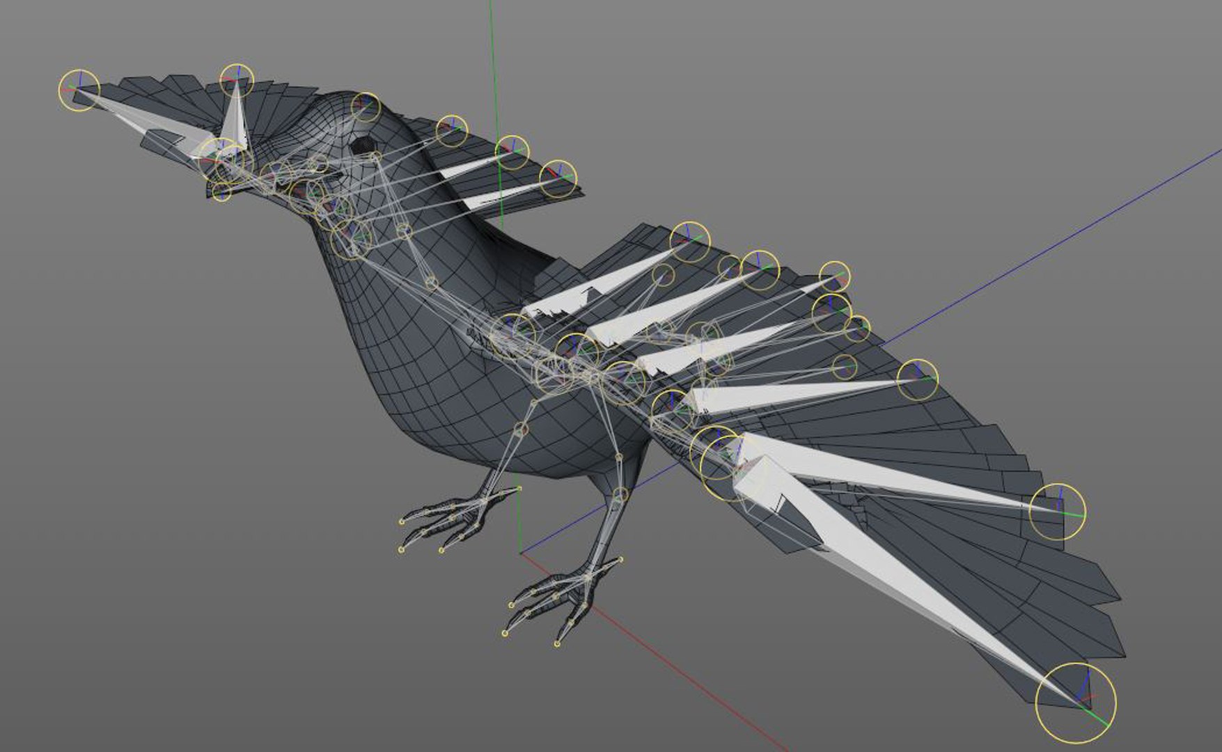 3D Model Raven Bird - TurboSquid 1536948