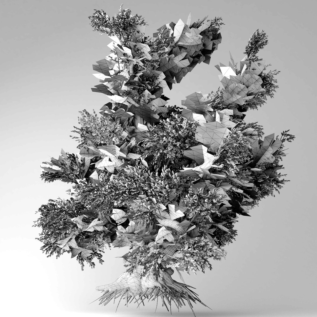 3D Old Tree Model - TurboSquid 1474945