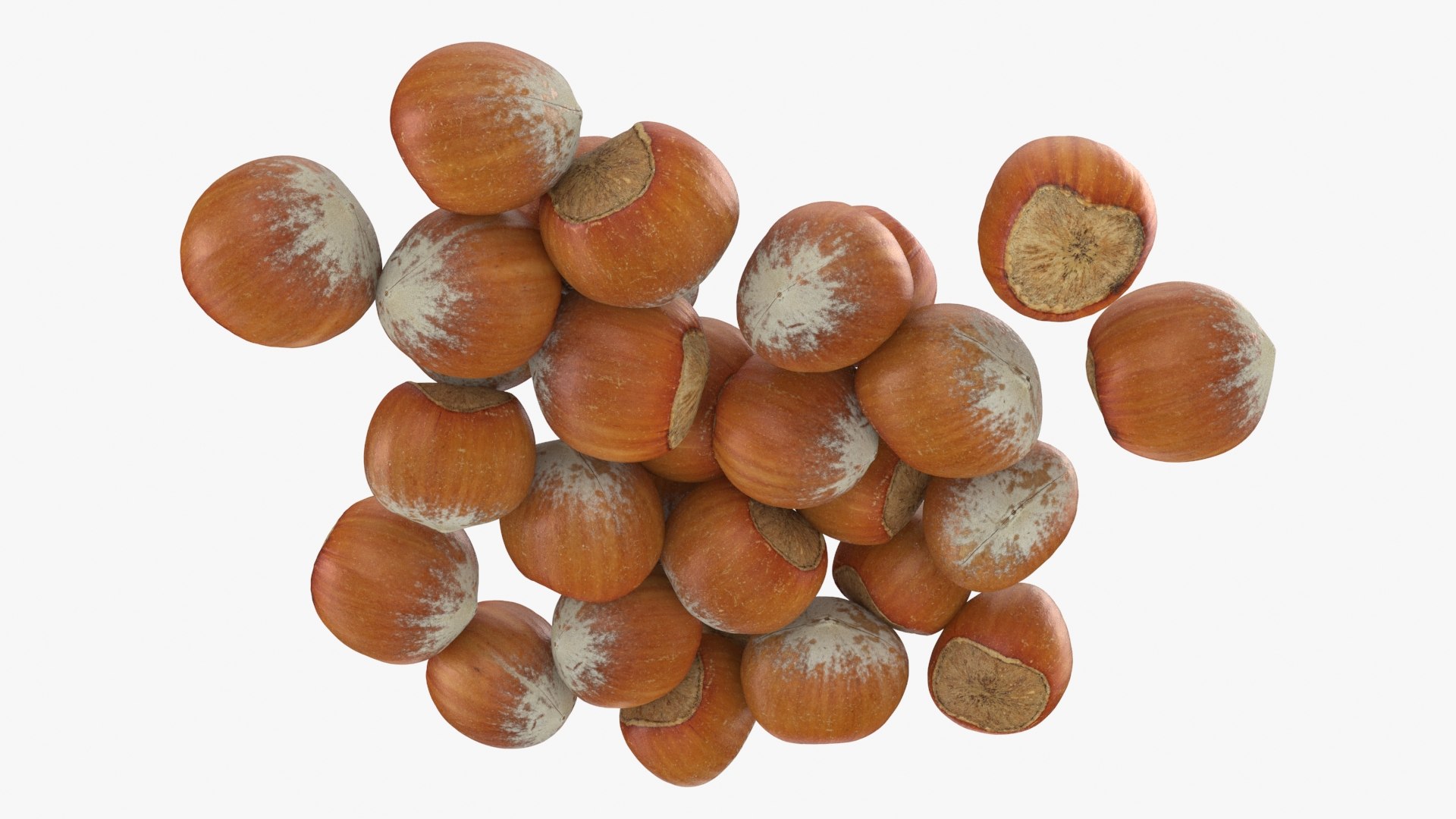 Hazelnuts In Shell 3D Model - TurboSquid 2292516