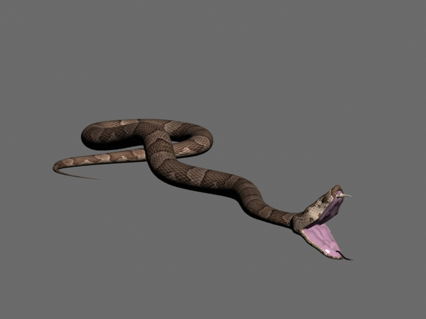 snake 3d max
