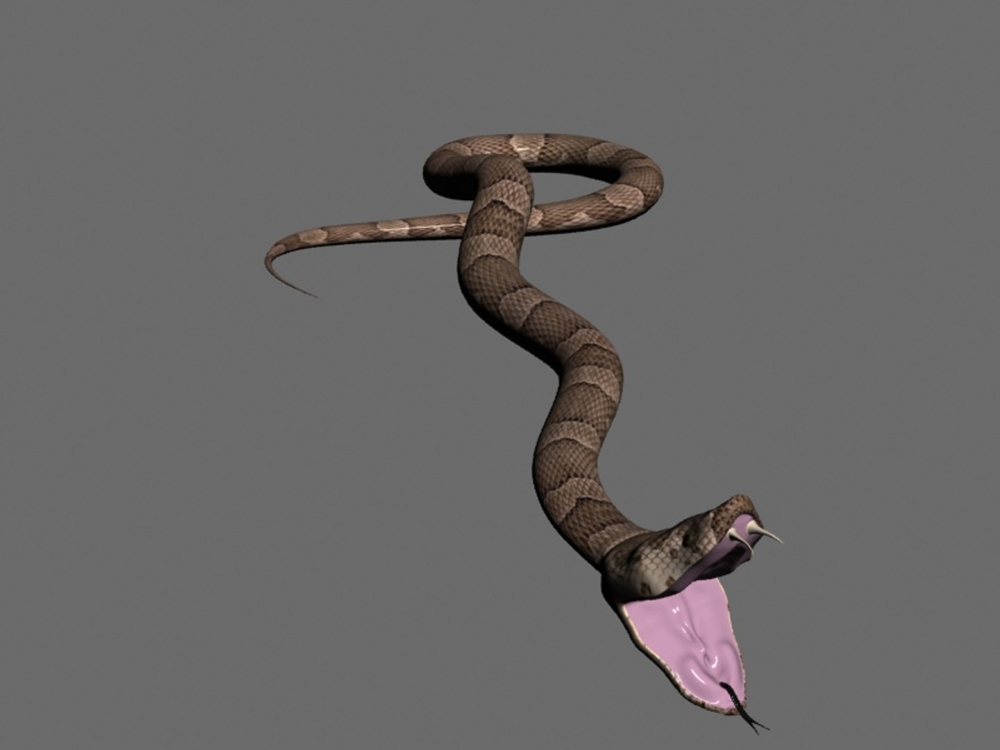Snake 3d Max