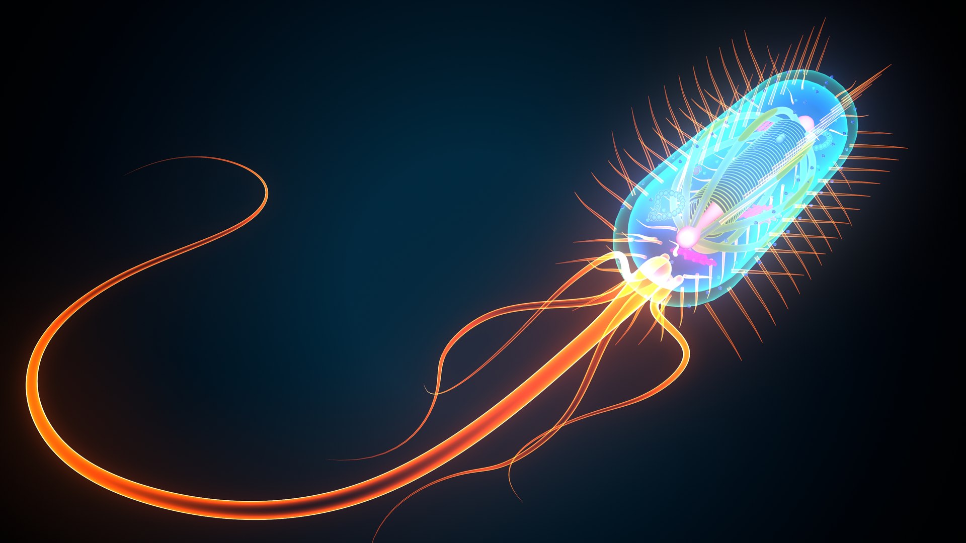 3D Model Bacteria - TurboSquid 1819702